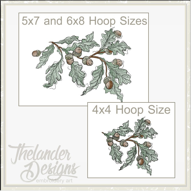 T2043 Sketch Acorns – Thelander Designs