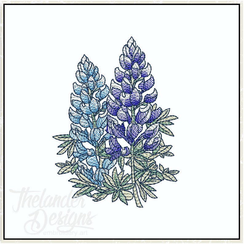 T2061 Bluebonnet Sketch – Thelander Designs